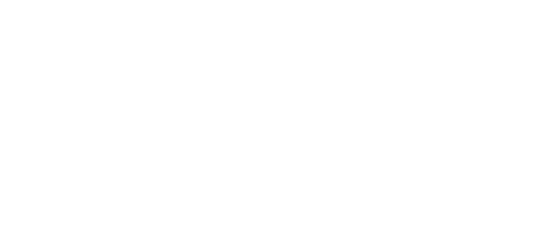 Skills Development - althaus